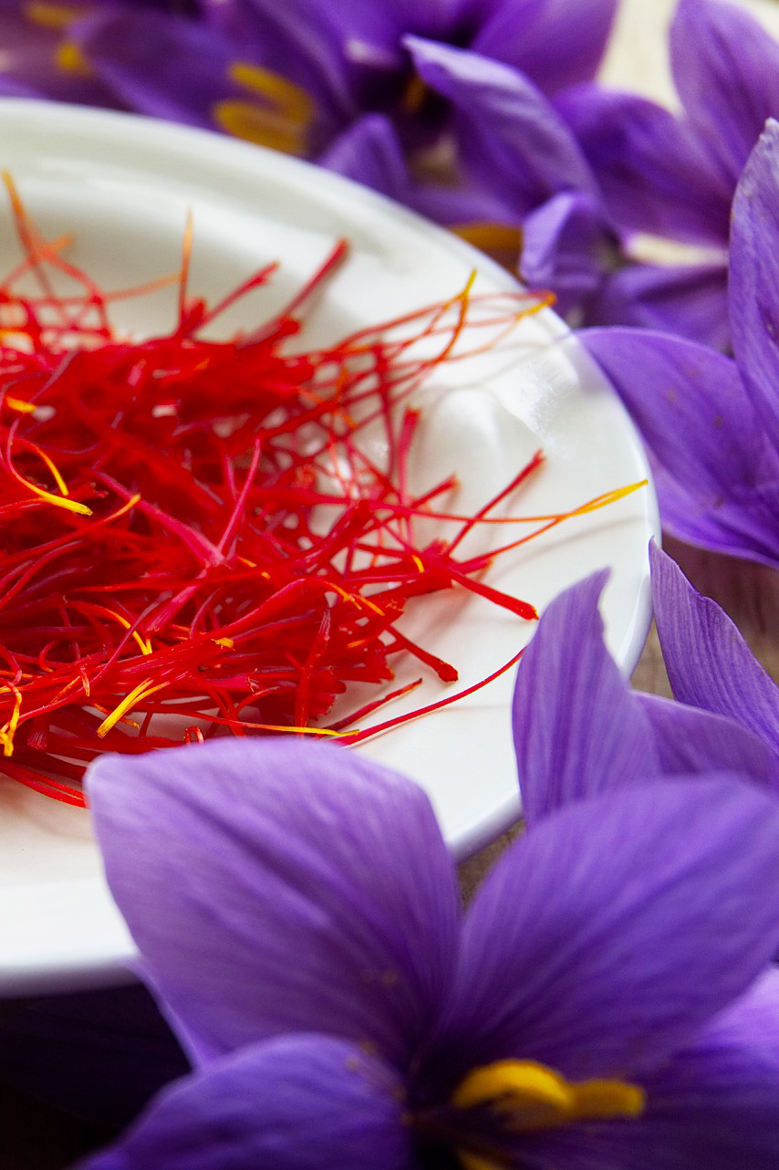 Lo zafferano: una preziosa storia tra medicina e cucina - Magazine ...